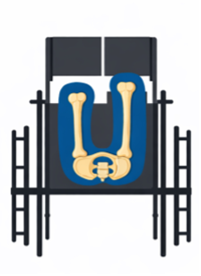 It’s Not Always the Leg: Understanding True and Apparent Leg Length ...